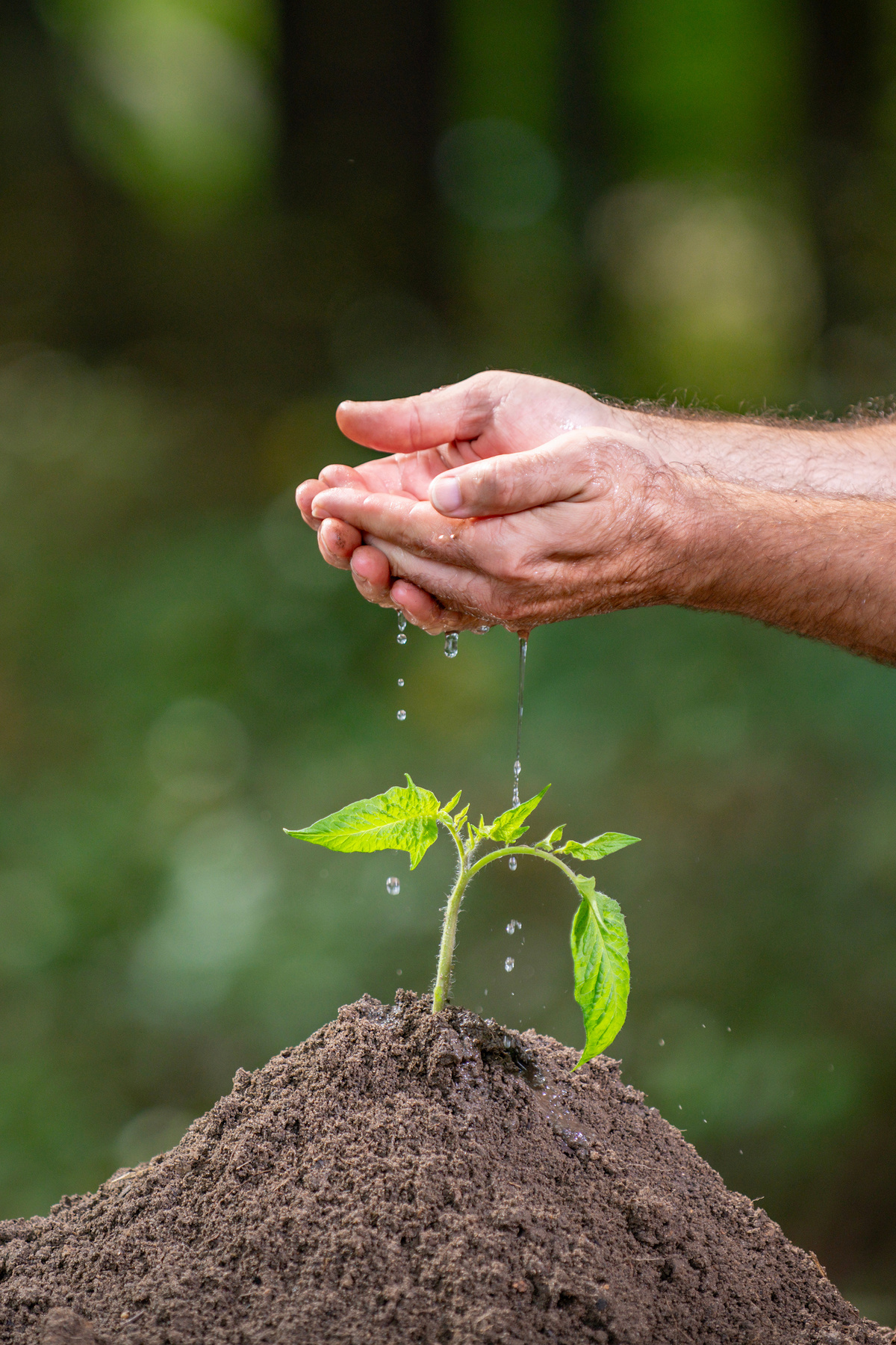Environmental Science B.S. / Minor - Manhattan University
